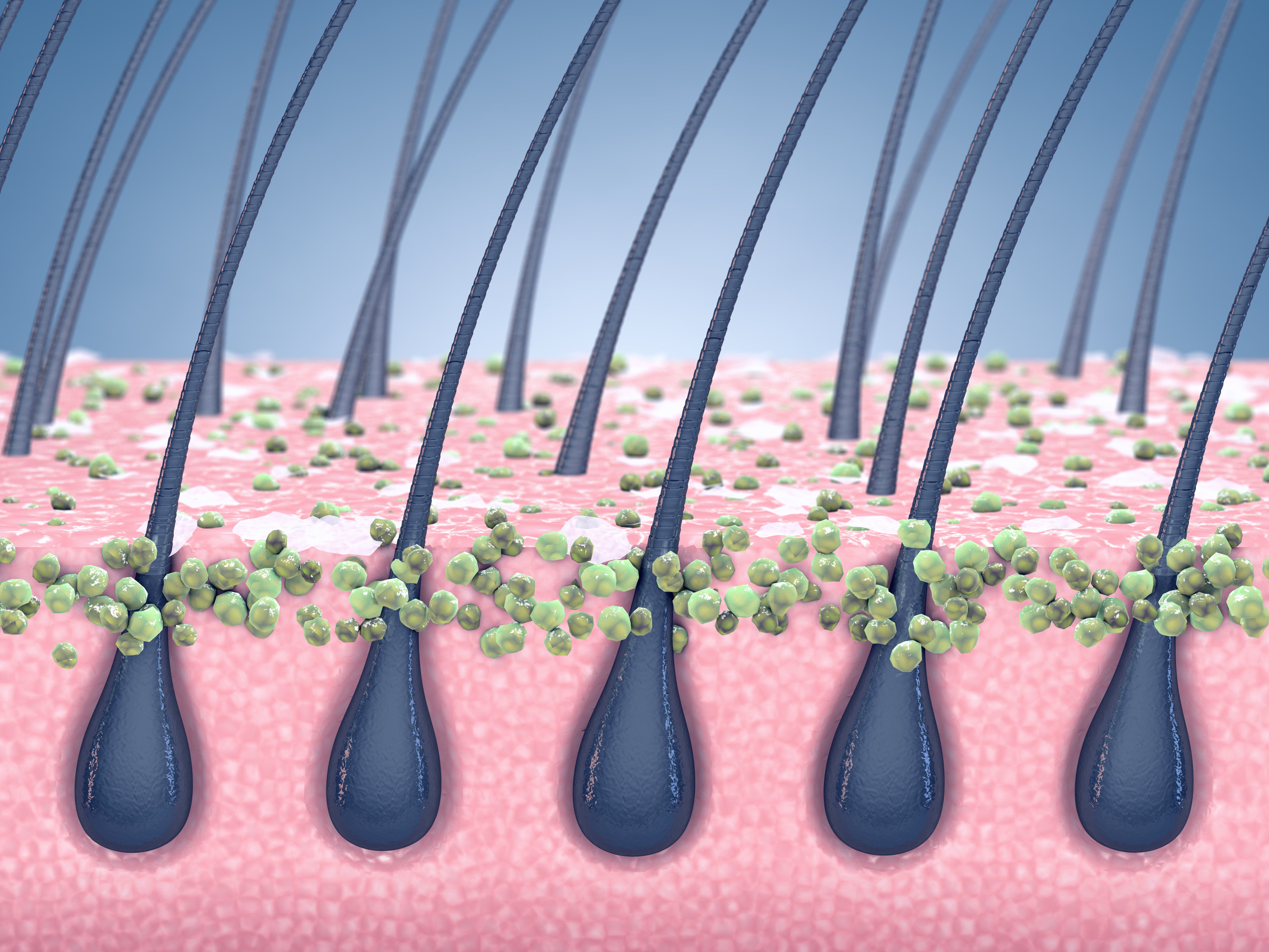 Dandruff and The Microbiome – Justhuman